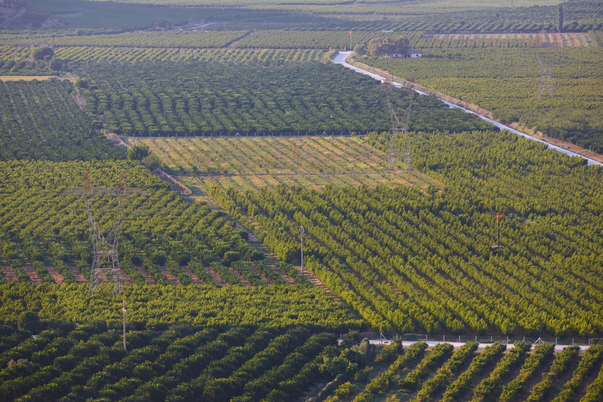 Understanding How Farm ERP Solutions Can Improve Farm Management