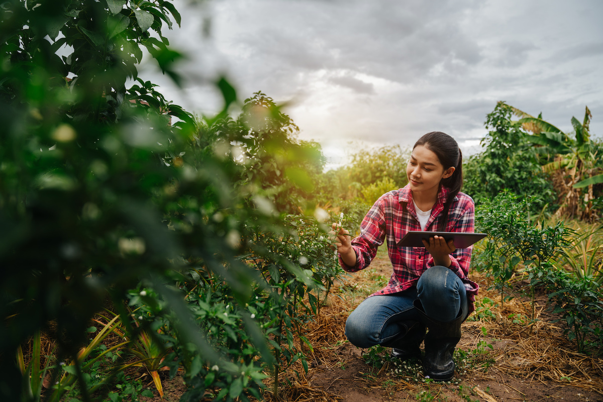 5 Farm Data Reports You Should be Tracking